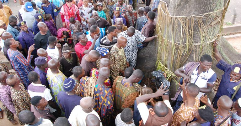 Los fundamentos de la práctica de Ifá tradicional - Ilé Awo