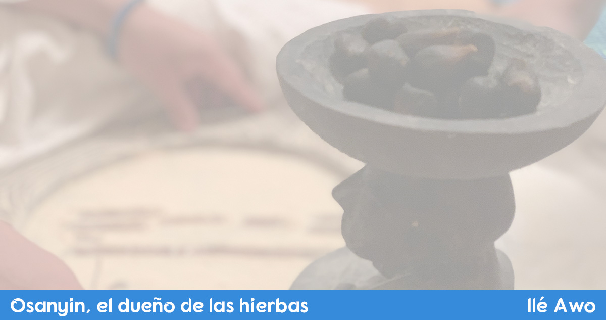 Osanyin – Osain, el dueño de las hierbas - Ilé Awo