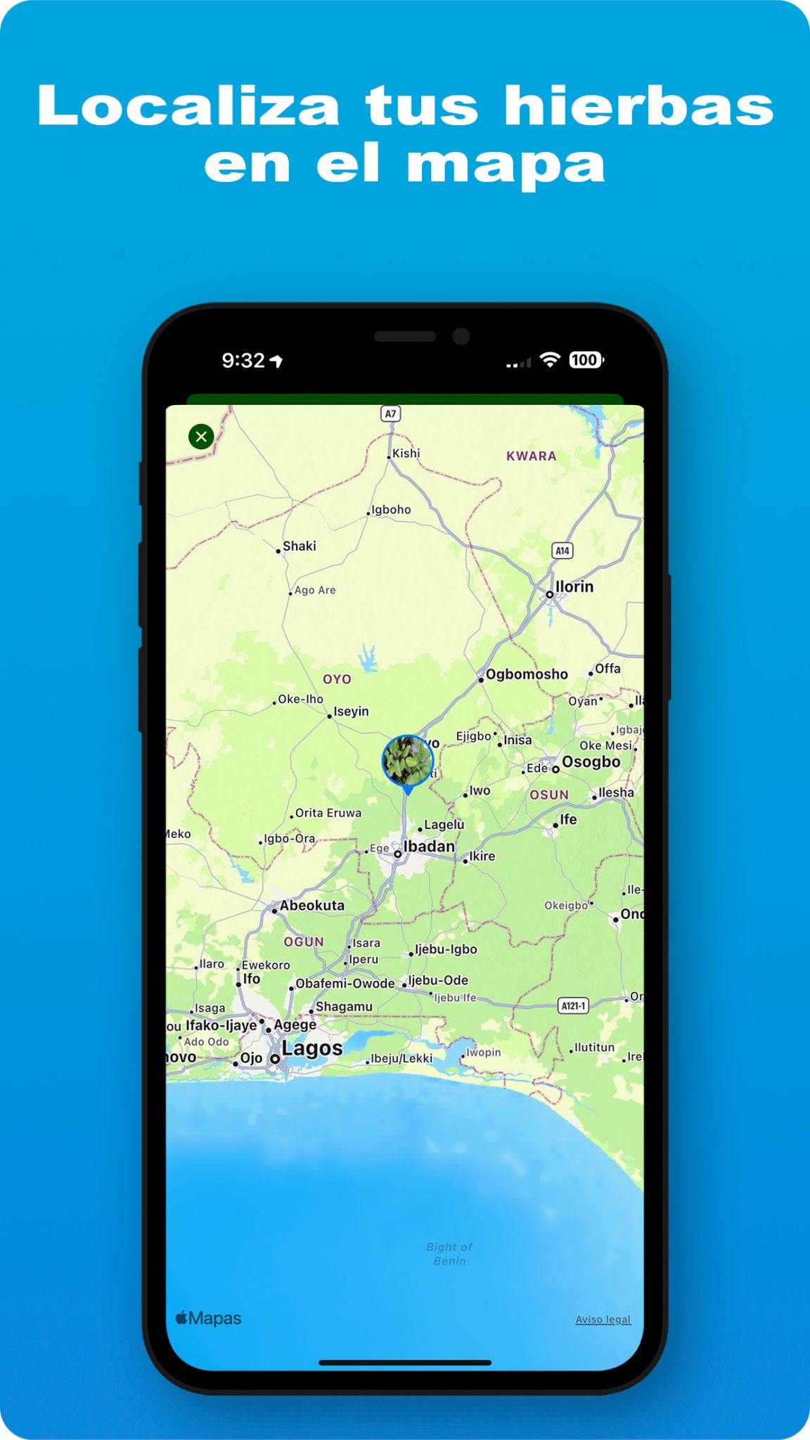 App Osanyin lo mo Ewe, el primer identificador de hierbas yoruba